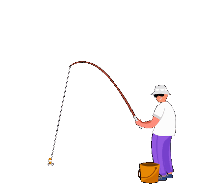 Home | Fishing Looker