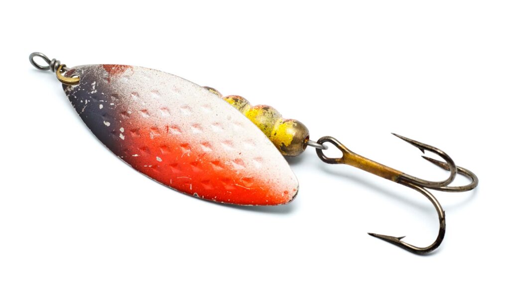 Best Types of Hooks for Fishing | Fishing Looker