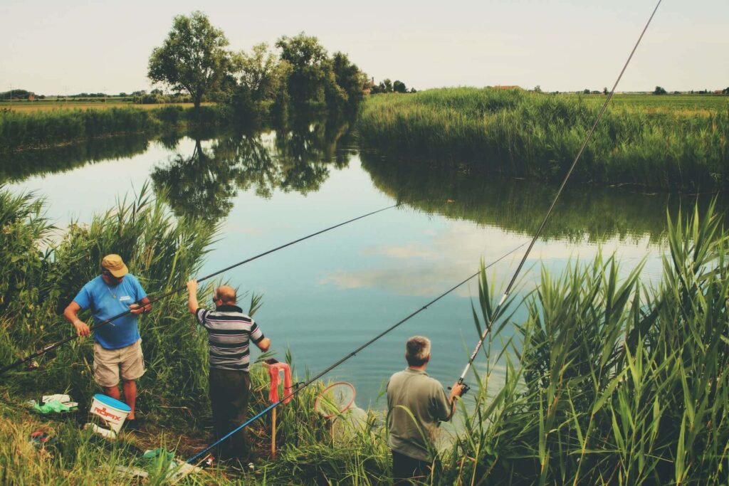 What Is Fishing? A Beginner's Guide to Understanding the Fishing ...