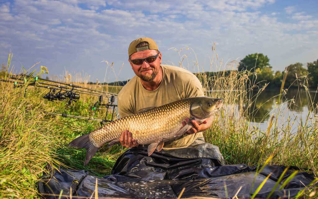 How Big Do Grass Carp Get? | Fishing Looker