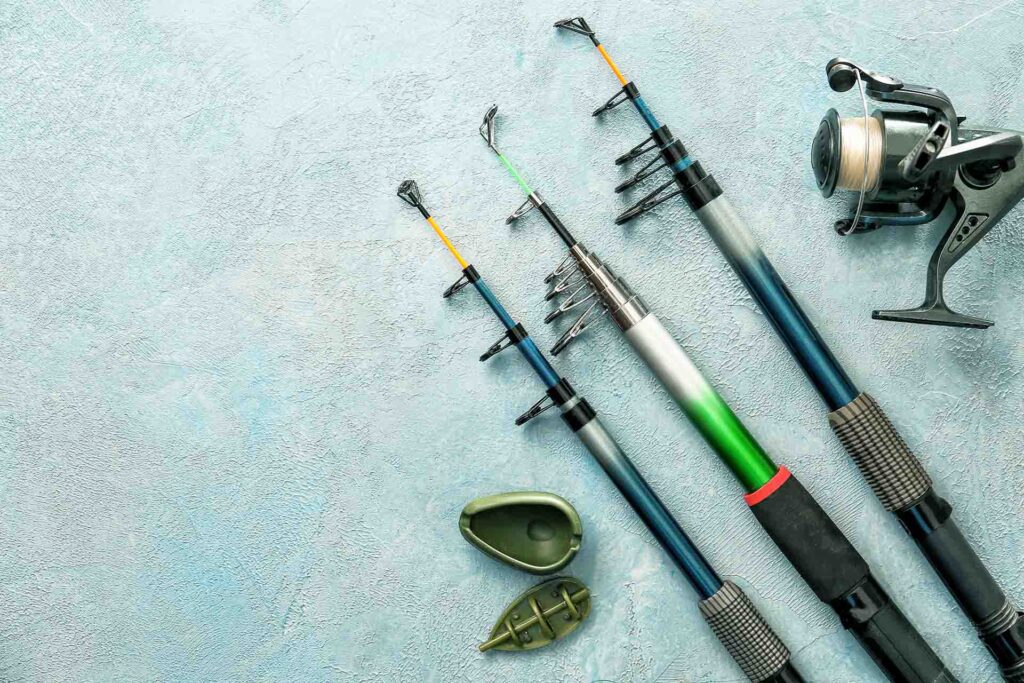 What is the Most Popular Fish to Catch in America | Fishing Looker