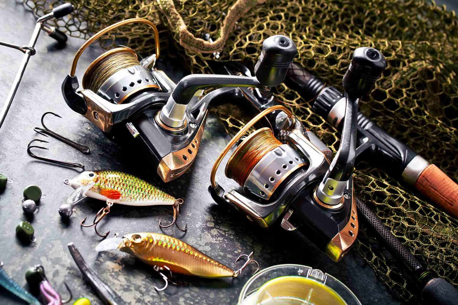 A Comprehensive Guide to Quantum Fishing Reels | Fishing Looker