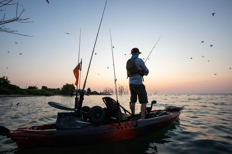What Is Fishing? A Beginner's Guide to Understanding the Fishing ...